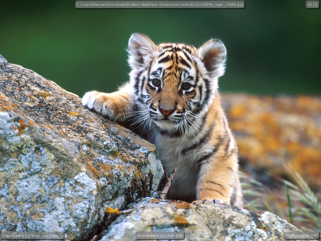 Endless Slideshow Screensaver 1.21 | Dažāda programmatūra